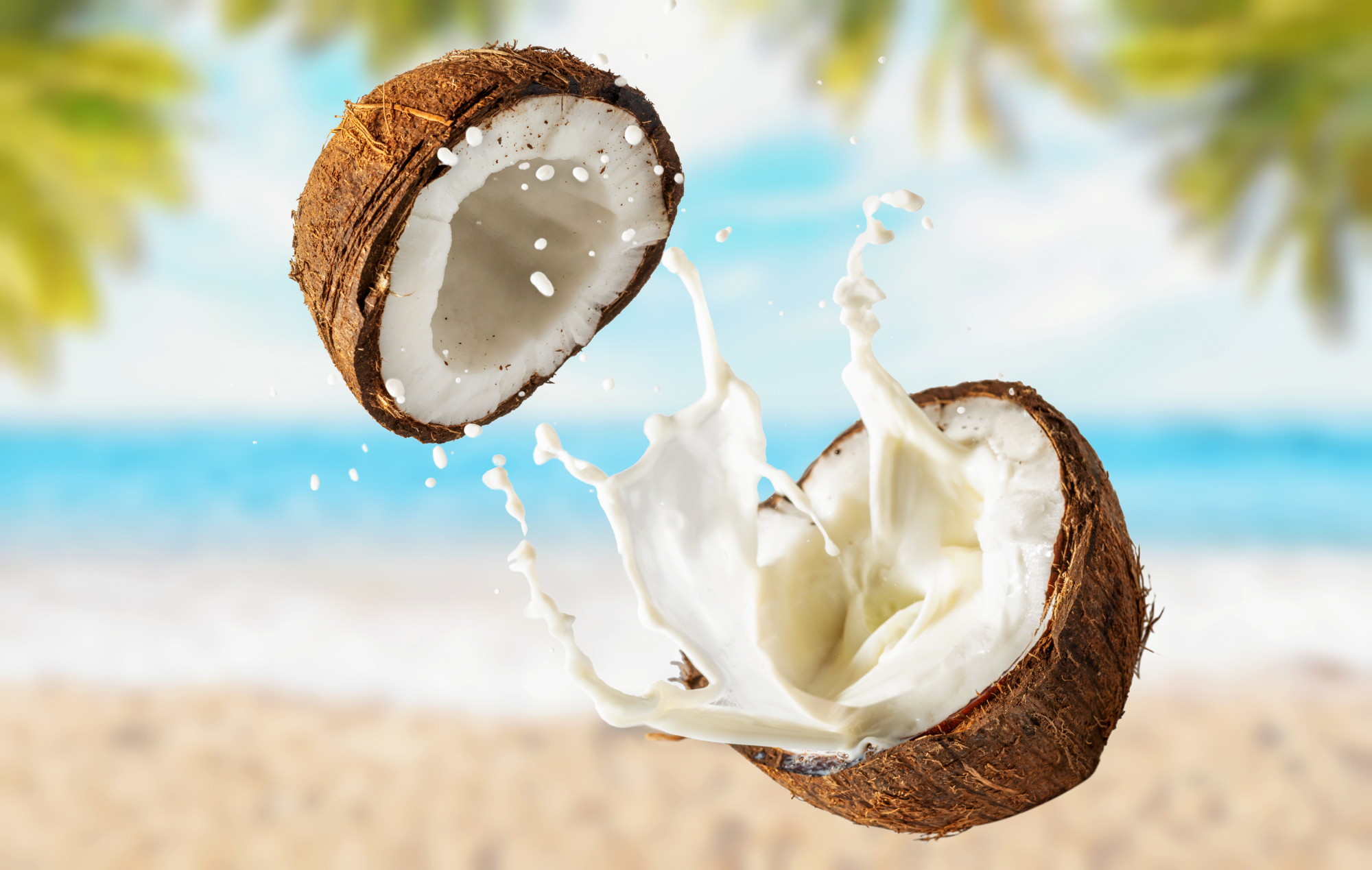 Beneficios del Agua de Coco para la Hidratación | La casa del coco
